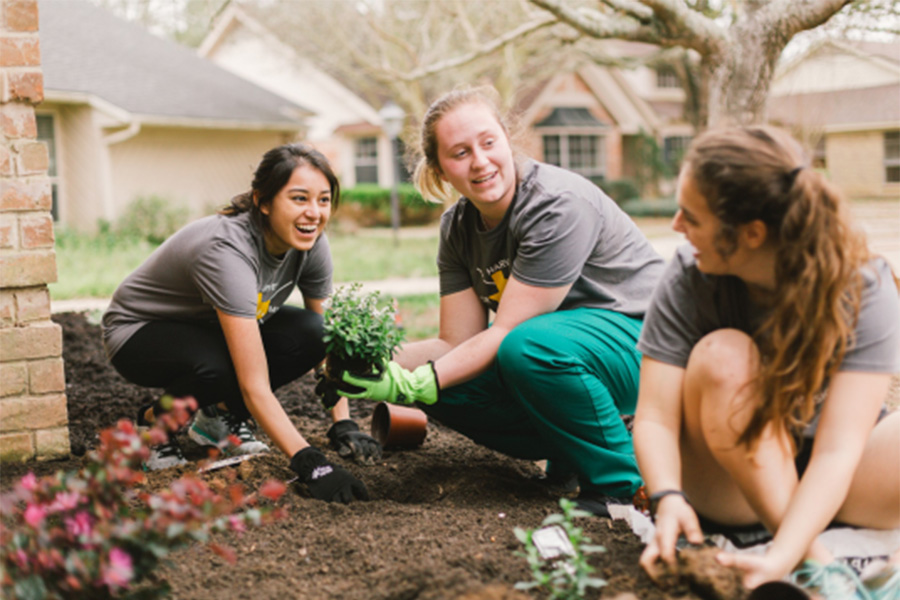 Support the Baylor Hunger Collaborative | Baylor Collaborative on ...